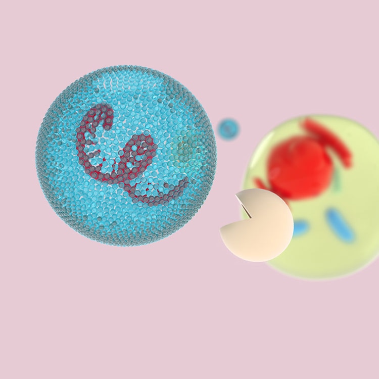 Vibrant Science & Technology - EMD Group