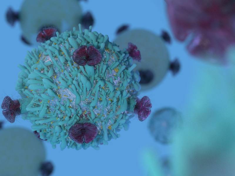 ASCO GU 2024 Avelumab Updates Merck KGaA Darmstadt Germany
